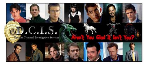 Demon Criminal Investigative Services Series Index